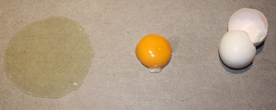 Gibt es Blauleger Hühner? - Wir stellen 3 Rassen vor die blaue Eier legen!