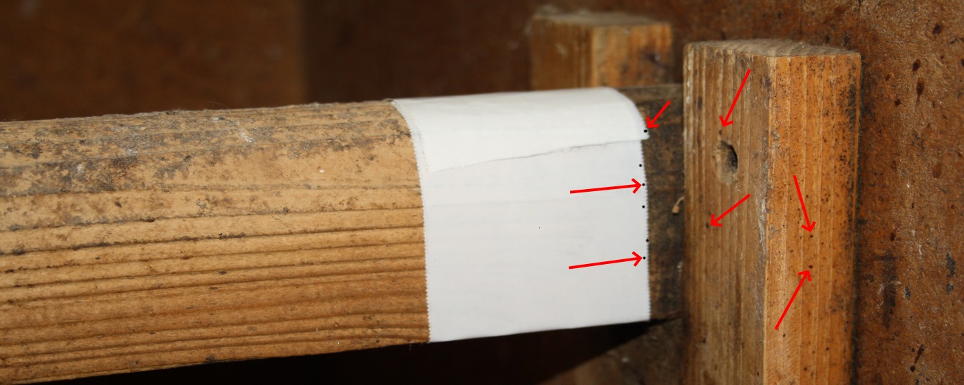 Die 8 wirksamsten Hühner-Milben Mittel: Tipps vom Hühnerprofi