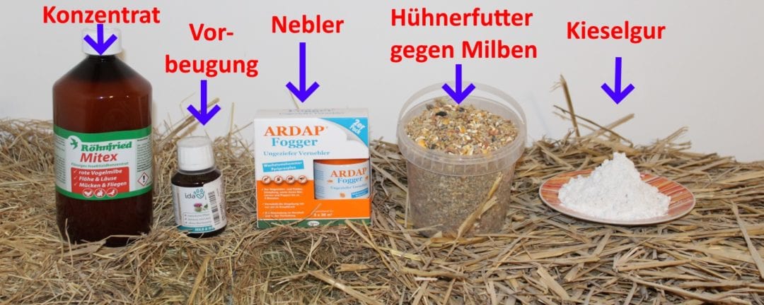 Hühnermilben bekämpfen • Überall krabbelt es ⇒So werden sie Milben los